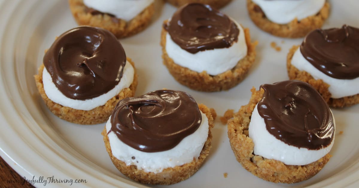 Individual Mini S'More Cups