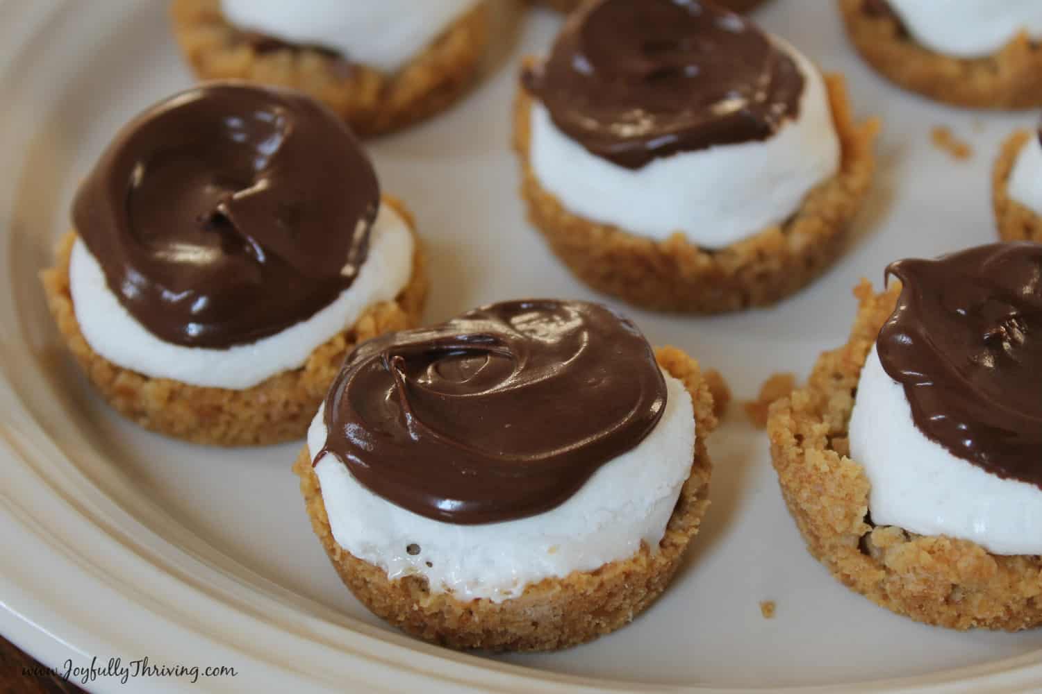 Individual Mini S'More Cups
