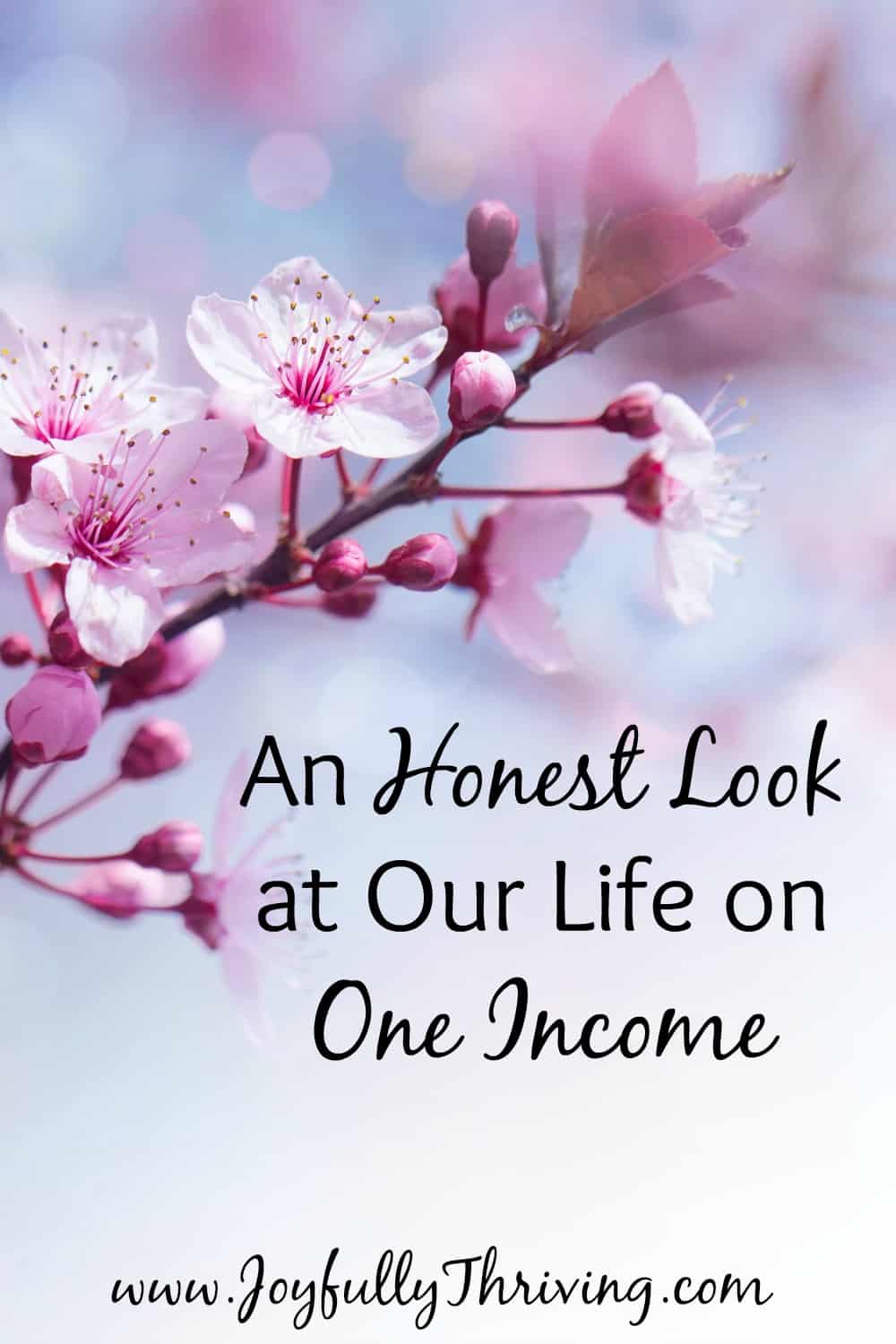 A Real, Honest Look at Life on One Income