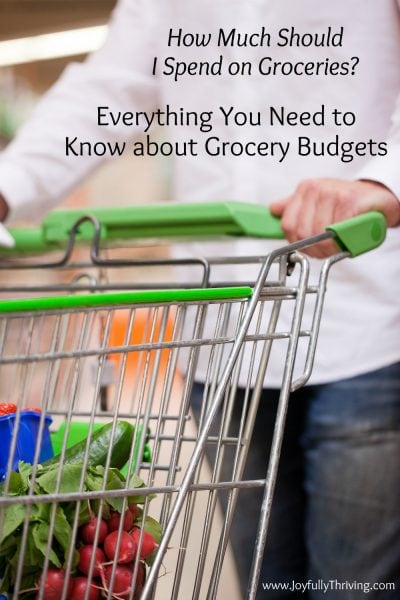 How to Make a Frugal Grocery Budget | Grocery Budgets 101