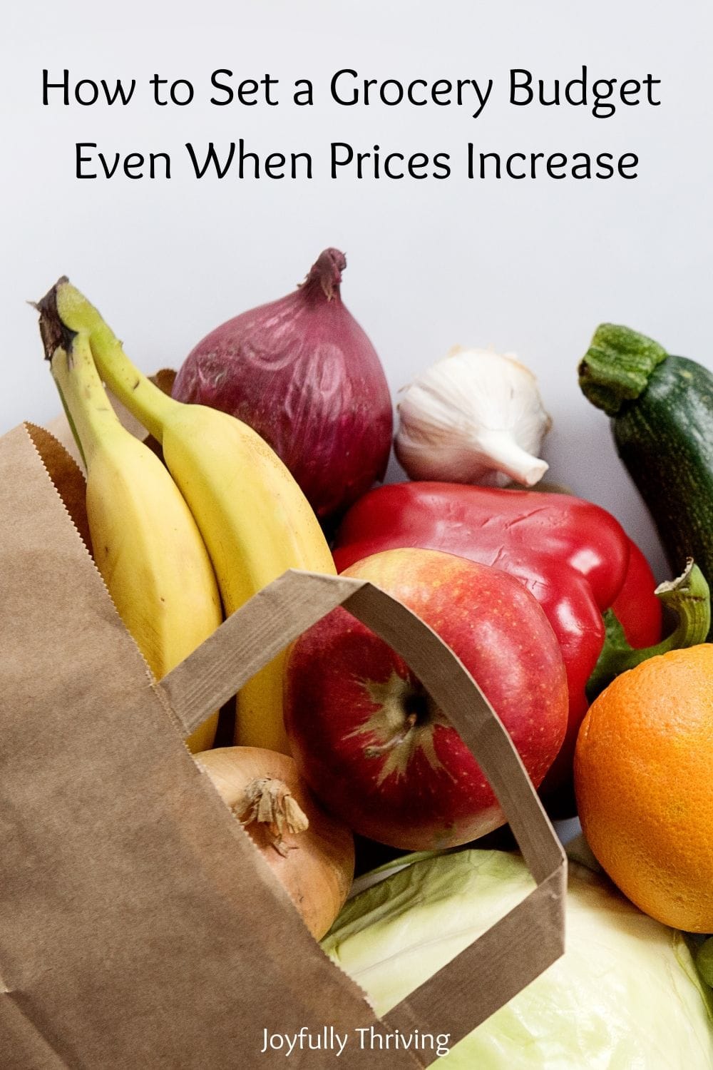 How to Set a Monthly Grocery Budget while Prices Increase